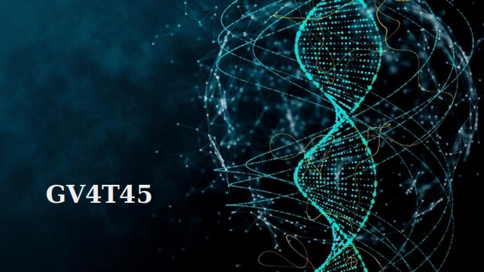 GV_T2_2025.1 | Aprender3